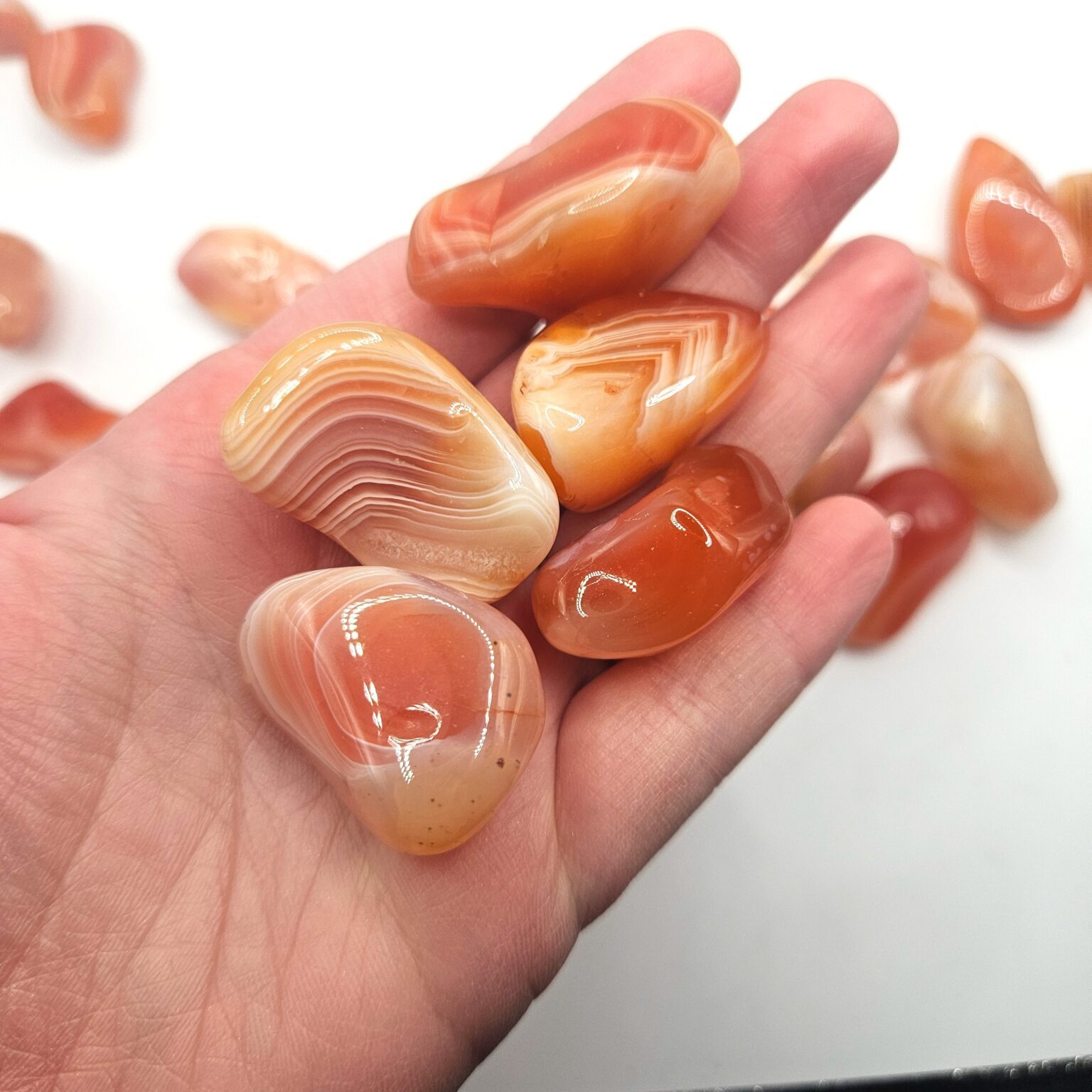 Crystals, Minerals, Rocks and Gemstones Shop - UK Crystal Wholesale